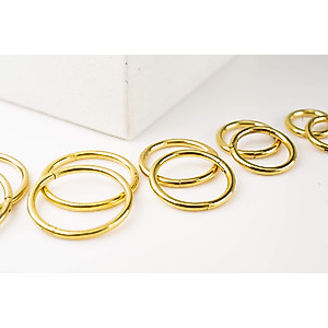 16G Surgical Steel Hinged Clicker Segment Nose Rings Hoop Helix Cartilage Daith Tragus Sleeper Earrings Body Piercing for women (16G - Gold - (6mm-14mm) - 10Pcs)