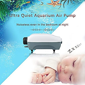 HITOP Dual Outlet Aquarium Electric Air Pump, Whisper Adjustable Fish Tank Aerator, Quiet Oxygen Pump with Accessories for 20 to 100 Gallon (2 outlets)