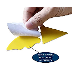 COSYWORLD 12 Pack Yellow Sticky Bugs Traps for Indoor/Outdoor Use, Gnat Trap for Flying Plant Insect Such as Fungus Gnats, Whiteflies, Aphids, Fruit Fly, Leafminers- Disposable Glue Trappers