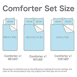 Swift Home Bedding Comforter Sets, Luxury and Lightweight 3-Piece Ruched 3D Floral Pintuck Comforter Sets, Machine Washable - Baby Blue, Full/Queen