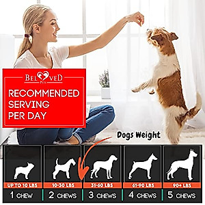 Dog Anti Itch & Allergy Relief Chews - Dry Itchy Skin & Hot Spot Treatment with Probiotic, Omega 3 Oil, Hemp - Immune Supplement & Seasonal Allergies Medicine for Dogs, Puppy - 140 Bites Made in USA