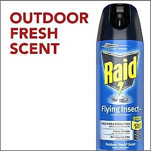 Raid Flying Insect Killer Lawn and Garden 20 Ounce (Pack of 2)