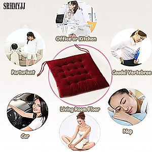 SRHMYJJ Chair Pad Dining Chair Cushions, Velvet Seat Cushions with Ties, for Dining Chairs Office Chairs Hardwood Floors Chair Cushion (Wine Red 17×17in(Set of 6))