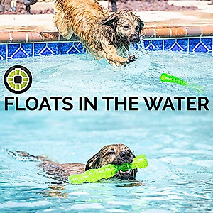 Hyper Pet Dura-Squeaks Stick Dog Toy, Large