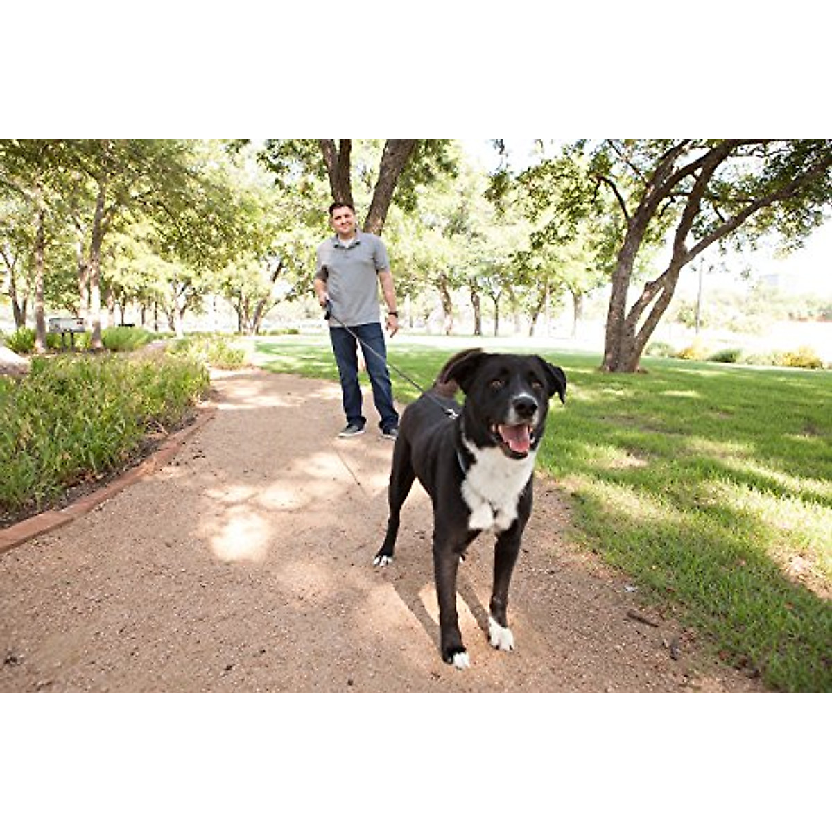 Petmate K9 Control Retractable Dog Walking Leash, Large, Up to 120lbs, 20’ tape, includes zeroslack technology allowing leash to retract while in locked position