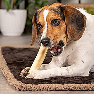 Pet Factory American Beefhide 5" Chip Rolls Dog Chew Treats - Natural Flavor, 50 Count/1 Pack