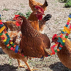5 Pcs Chicken Toys Set for Hens Chicken Bird Hanging Swing Ladder Toys for Coop Accessories Chicken Pecking Toys Veggies Skewer Vegetable Fruit Hanging Feeder Bag for Chicks Pet Parrots Stress Relief