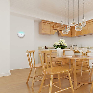 Faicuk FA-FLT07 Wall Sconce Fly Light+Replacement Glue Board Pack of 10 (2 Packages are Delivered Separately).