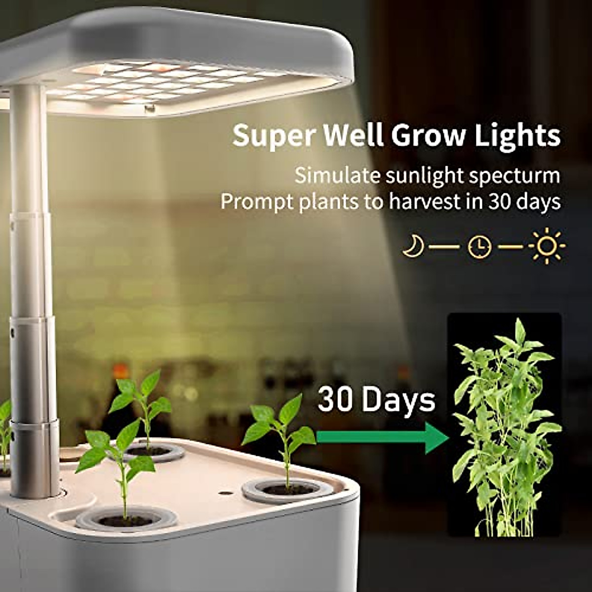 Ahopegarden Indoor Garden Hydroponic Growing System with 60pcs Grow Sponge Replacement