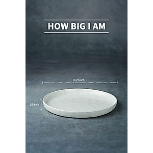 famiware Mars 4 Pieces Dinner Plates, 10.25 inch Plate Set, Scratch Resistant, Stoneware Dinnerware, Kitchen Modern Rustic Serving Dishes, Multi-color