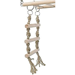 TRIXIE Small Animal Suspension Bridge, Cage Accessories, Pet Toys for Rats, Ferrets 35 x 15cm