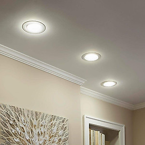 EcoSmart 75-Watt Equivalent BR40 Dimmable LED Light Bulb Soft White (2-Pack)