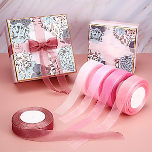 50 Yard Organza Ribbon Sheer Chiffon Stain Ribbons Dusty Rose Fading Ribbon Set for Valentines Christmas Wedding Gift Wrapping Bouquets Craft Birthday Party Decoration (Pink Series)