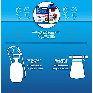 BioAdvanced All-in-One Rose and Flower Spray For Insects, Concentrate, 32 oz