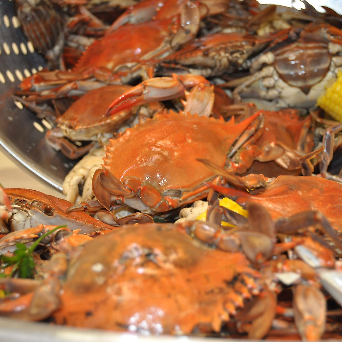 Bayou Classic Stainless Steel Boiler Cooker Kit Features 44-qt Stainless Boiler with Lid, Steam/Boil Basket, 4-in Cast Aluminum 58,000 BTU Burner, 10-psi Pre-Set Regulator and 48-in Hose