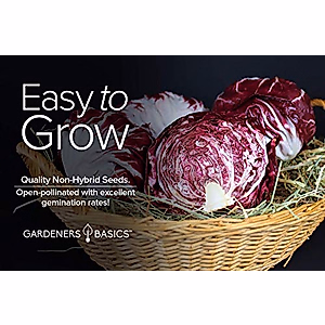 Cabbage Seeds for Planting - Red Acre Heirloom, Non-GMO Vegetable Variety- 1 Gram Seeds Great for Summer, Spring, Fall and Winter Gardens by Gardeners Basics