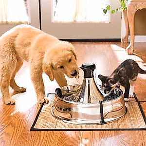 Pet Supplements Joint Care for Cats - Pets Turmeric Joint Health - for Dogs and Cats - Advanced Complex - Turmeric for Cats - 2 Bottles (120 Tablets)