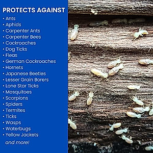 BioAdvanced Carpenter Ant & Termite Killer Plus, Ready-to-Use, for Insects, 1.3 Gal