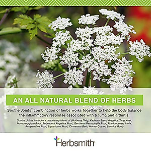 Herbsmith Soothe Joints – Cat + Dog Arthritis Pain Relief –Relief For Senior Pet Aches + Pains – Joint Health for Senior Dogs + Cats – 75g Powder