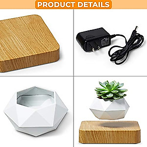 HOMEXXPRESS Levitating Plant- Floating Plant Pot - Magnetic Planter 360-Degree Rotation - Home Desk Office Kitchen Indoor Decor - Succulent Bonsai Air Plant - Maceta Flotante (Light Brown)