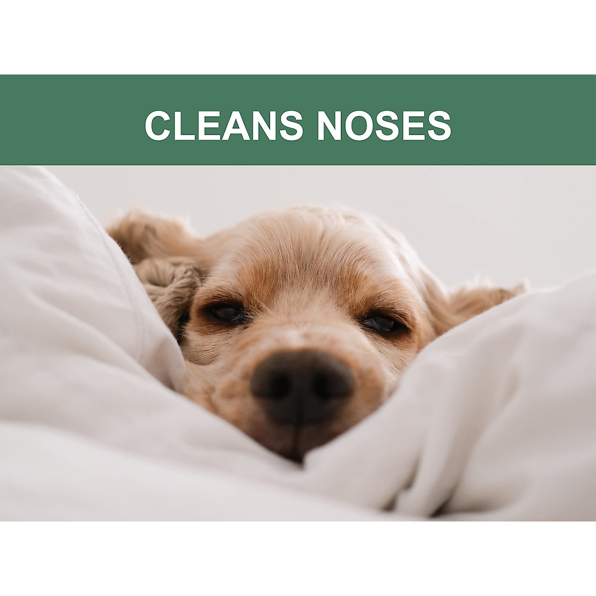 Mr. Peanut's Naturals 100% Plant Based, Unscented Pet Wipes, 160 Count, Larger 8x6" Size