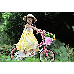 Royalbaby Princess Girl Children's Bicycle Outdoor Ride-On Bike with Training Wheels, Kickstand, Adjustable Seat and Basket, 16 Inch, Jenny/White-Pink