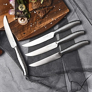 BILL.F Steak knives Serrated Steak Knife Set Stainless Steel Steak Knife Set of 4