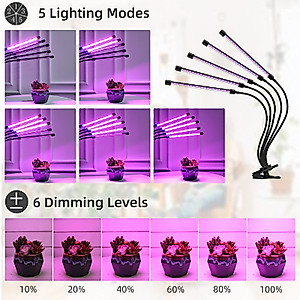 yoyomax Grow Light Plant Lights for Indoor Plants Full Spectrum LED Growing Lamps with Timer for House Greenhouse Seed Starting Succulent Growth Garden Seedlings (5 Heads)