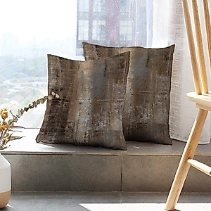 Alricc Taupe Throw Pillow Cover Pack of 2, Abstract Art Gallery Modern Decorative Cushion Cover for Bedroom Sofa Living Room(16 x 16 Inch,Taupe)