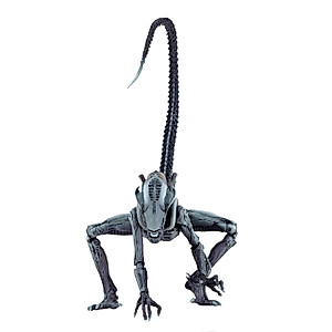 NECA - Aliens vs Predator (Arcade Appearance) - 7" Scale Action Figures - Arachnoid