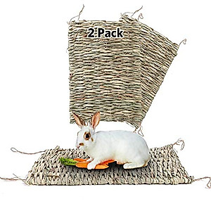 BESAZW Rabbit Mat,Grass Mats for Rabbits,Safe & Edible Rabbit Mats for Cages,Bunny Chew Toys for Rabbits (C:15.7"x11"(2 Pack))