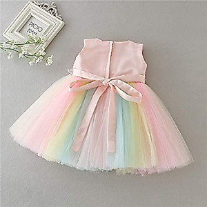 Meiqiduo Baby Girls Dress Infant Christening Birthday Wedding Bridesmaid Party Lace Tulle Flower Dresses (3M/0-6Months, Multicoloured)