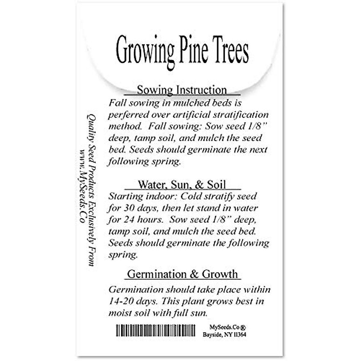 Big Pack Bonsai Tree Seeds - Japanese RED Pine Tree (150 Seeds) - Pinus densiflora Pine Tree Seeds - Non-GMO Seeds by MySeeds.Co (Big Pack - Japanese Red Pine)