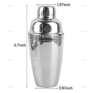 AUEAR, 12 oz/350ml Stainless Steel Cocktail Shaker Bottle Martini Shaker Drink Shaker with Built-in Strainer for Home Bar