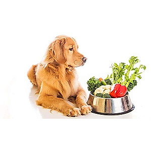 I LOVE MY PETS LLC Immune Booster Dogs - Ultra Vitamins - Dog Health - Mineral Support - Dog Bone Supplement Best - 90 Treats (1 Bottle)