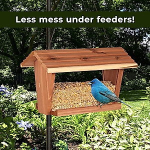 Kaytee Wild Bird (No Mess or Waste Free) Food Seed Blend for Blue Jays, Woodpeckers, Juncos, Cardinals, Grosbeaks, Sparrows, and Finches, 10 Pound, (Packaging May Vary)