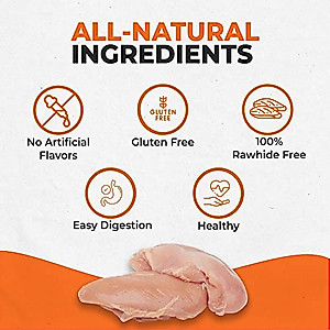 Canine Naturals Chicken Recipe Chew - Rawhide Free Dog Treats - Made From USA Raised Chicken - All-Natural and Easily Digestible - 10 Pack of 5 Inch Stick