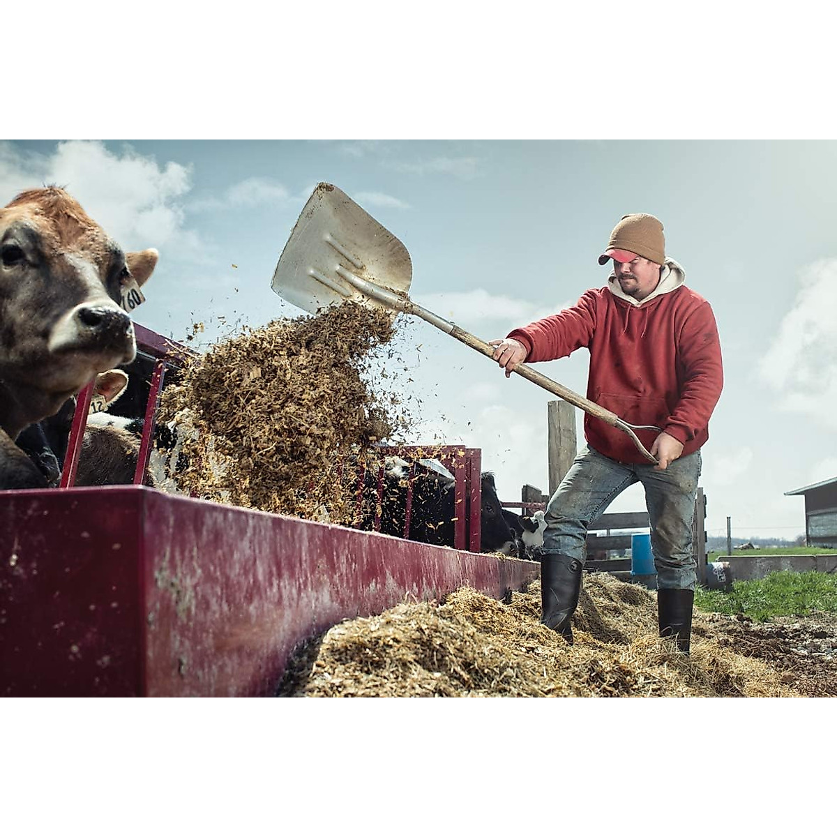 Dunlop Protective Footwear, Chesapeake plain toe Black Amazon, 100% Waterproof PVC, Lightweight and Durable, 8677577.10, Size 10 US