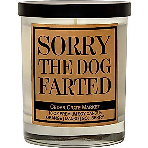 Dog Mom Gifts for Women, Dog Lovers Gifts for Women, Men, Funny Dog Candles for Dog Lovers, Dog Candle, Dog Dad Gifts for Men, Dog Gifts for Dog Lovers, Pet Mom, Fur Mamas, Rescue, Made in The USA