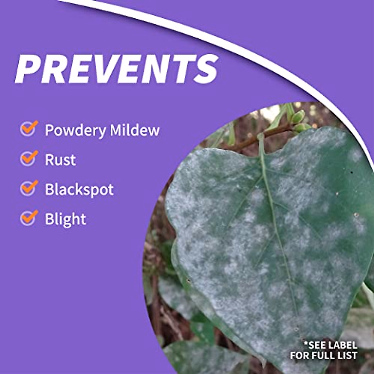 Bonide Rose Shield Systemic Rose & Flower Drench, 40 oz Ready-to-Use Long Lasting Disease & Insect Protection