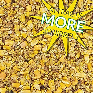 C&S Squirrel Snak, 6 Pack