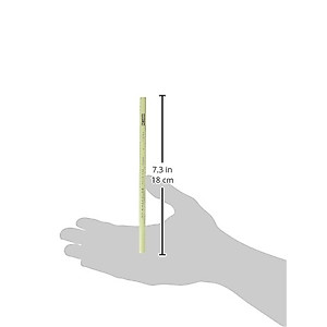 Prismacolor Premier Colored Pencil, Pale Sage (4149)