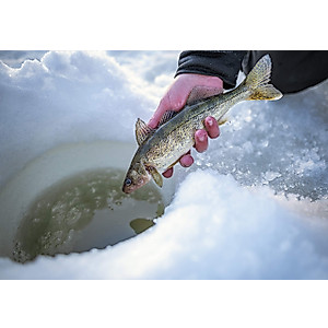 Fenwick World Class Ice Fishing Spinning Rod