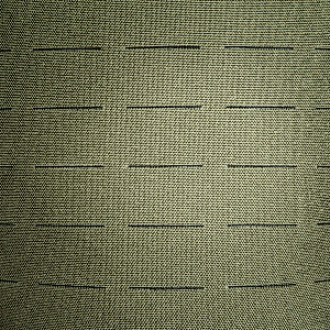 Tasmanian Tiger Modular Daypack L Olive,One Size,TT-7968-331