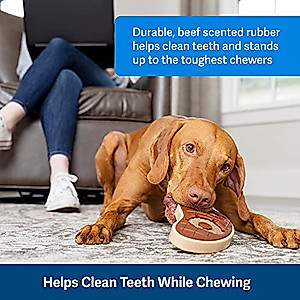 PetSafe Busy Buddy Slab o’ Sirloin Dog Toys – Treat Ring Holding Chew Toy – BPA Free Rubber – Beef Scented – Interactive Pet Puzzle for Boredom or Separation Anxiety – Small to Large Dogs