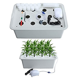 Xeternity-Made Indoor Hydroponic Grow Kit with Bubble Stone, 11 Sites (Holes) Bucket, Air Pump, Sponges - Best Indoor Herb Garden