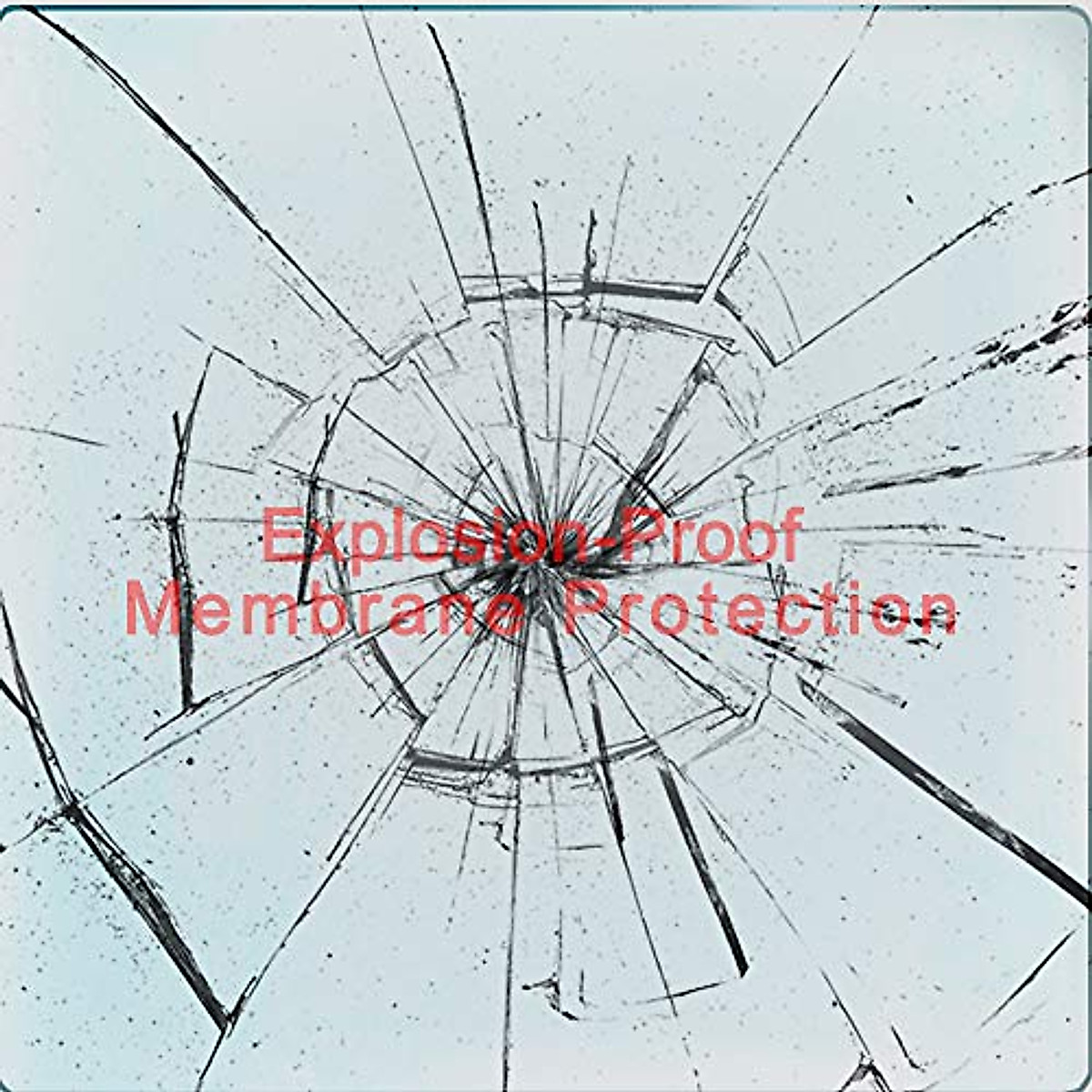 PETAFLOP 14x48 Inch Full Length Mirror Wall Mounted, Large Body Door Mirror with Rectangular Framed for Bedroom Bathroom Living Room Decor, Black