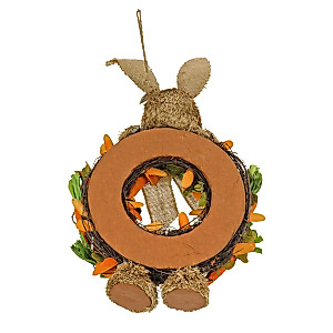 National Tree Company Artificial Hanging Wreath, Foam Ring Base, Decorated with Bunny, Carrots, Vines, Leafy Greens, Easter Collection, 20 Inches