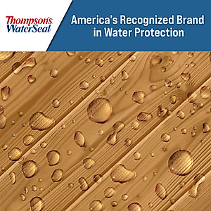 Thompson’s WaterSeal Transparent Waterproofing Wood Stain and Sealer, Desert Tan, 1 Gallon