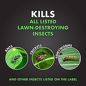 SpectracideTriazicide Insect Killer for Lawns Granules 20 lb, 1-PK
